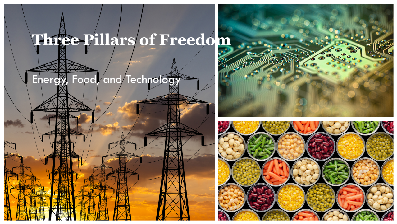 Three Pillars of Freedom – BABU PRIYAVRAT